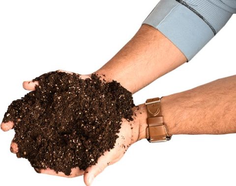 Grow Advice - Native Soil Company